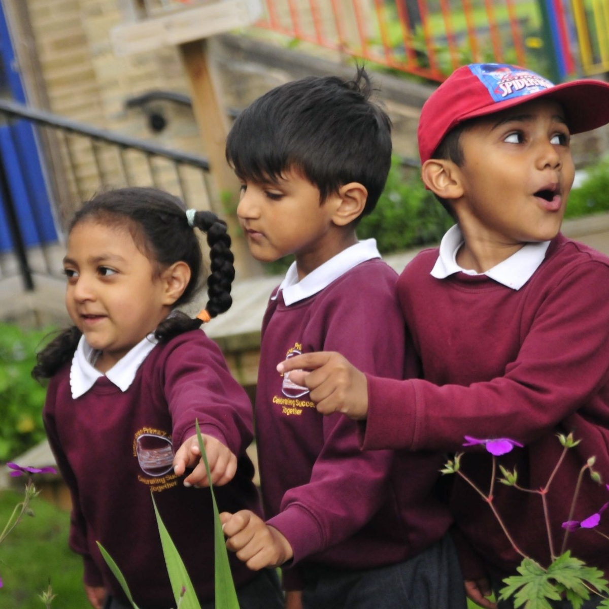 Exceed Academies Trust - Funded RSHE training and support
